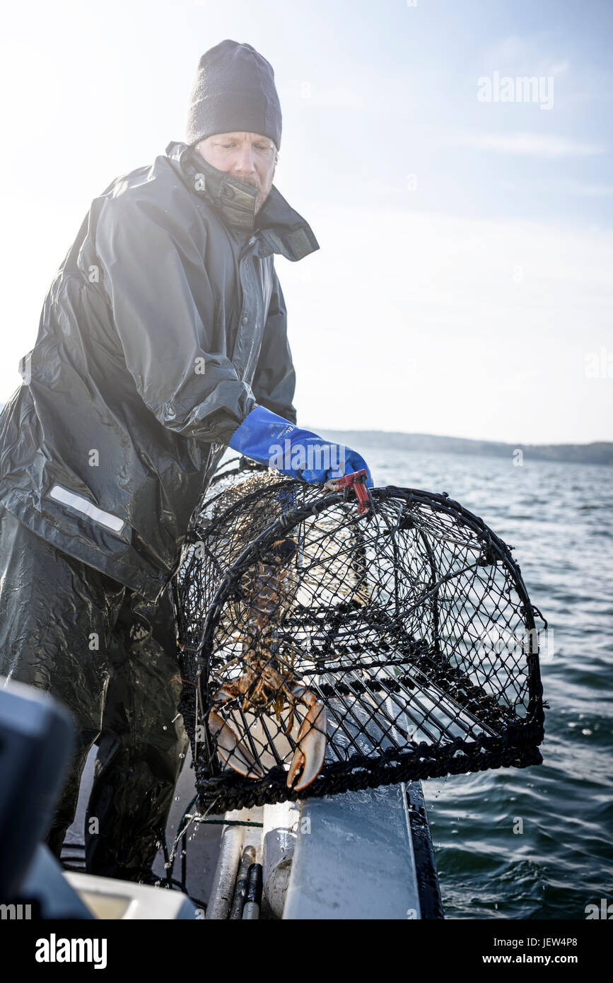 Fisherman with lobster trap Stock Photo - Alamy