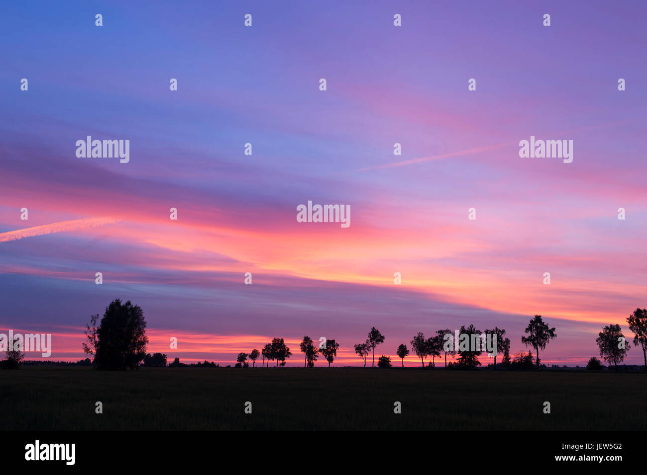 Sunset and trees hi-res stock photography and images - Alamy