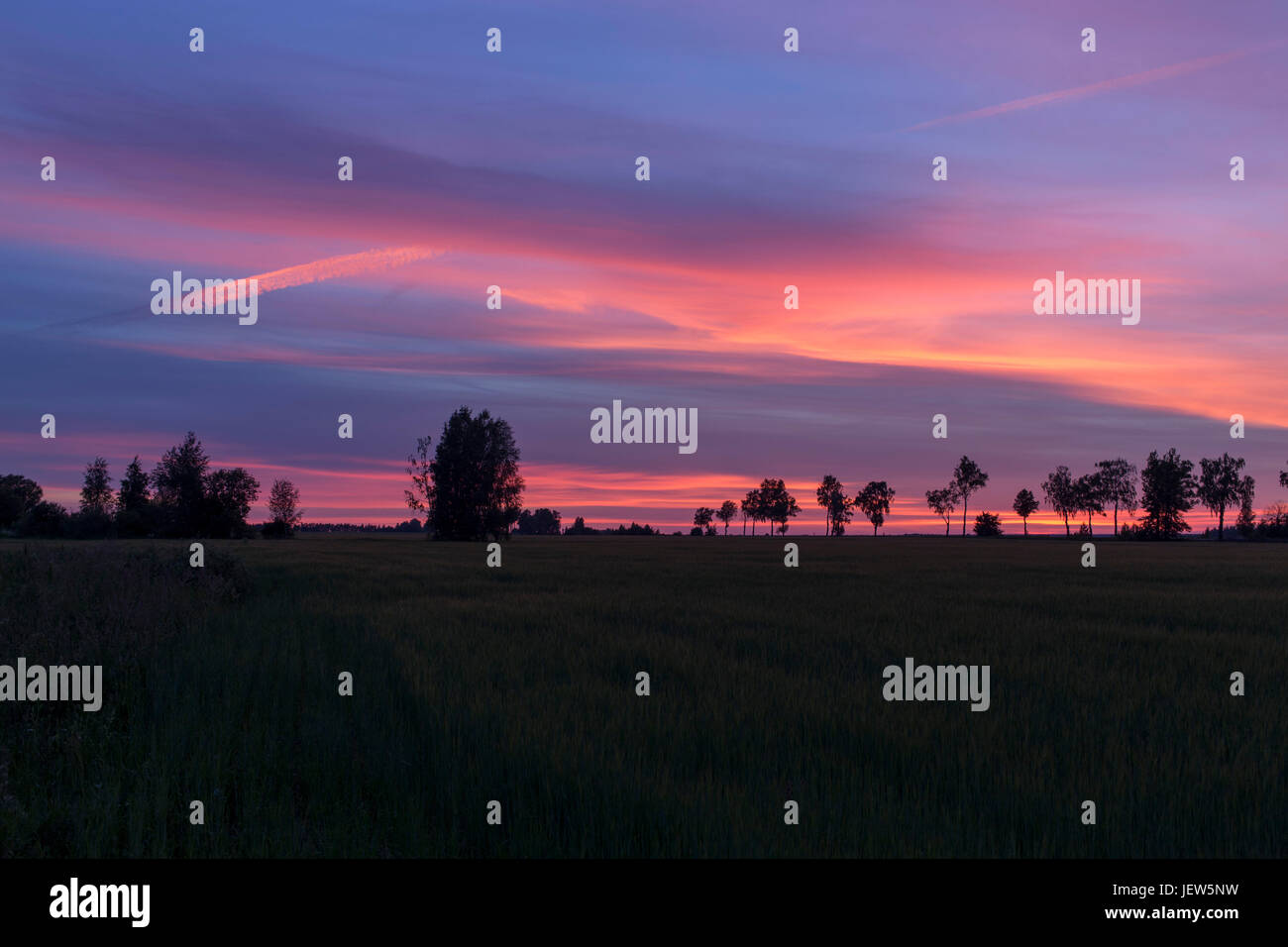 Beautiful sunset trees hi-res stock photography and images - Alamy
