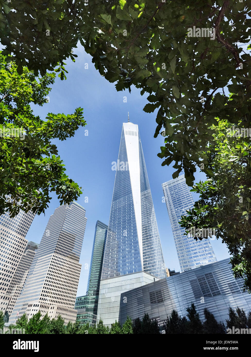 Skyscrapers and braches Stock Photo - Alamy