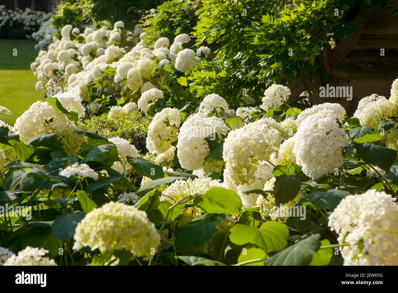 Oxford, England - July 10, 2017, The New Building of Oxford Magdalen ...
