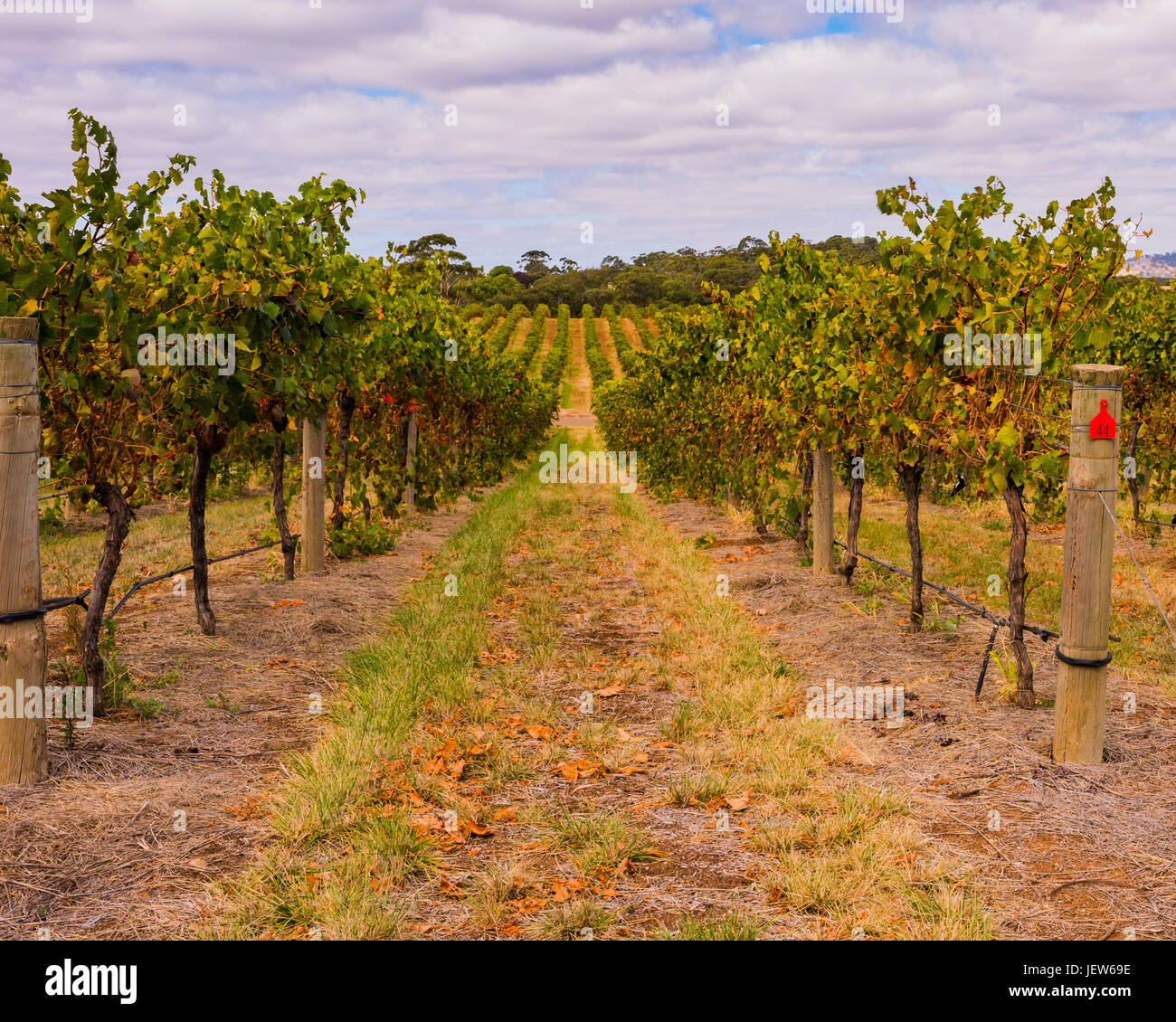 Marananga hi-res stock photography and images - Alamy