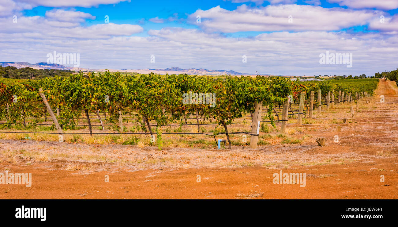 Marananga hi-res stock photography and images - Alamy