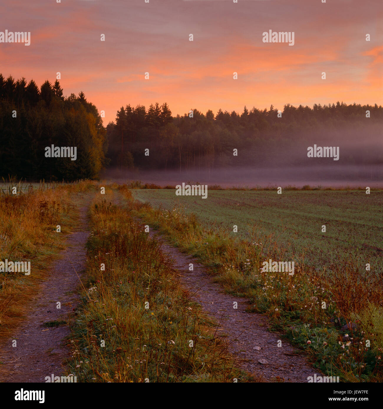 Field dirt track morning hi-res stock photography and images - Alamy
