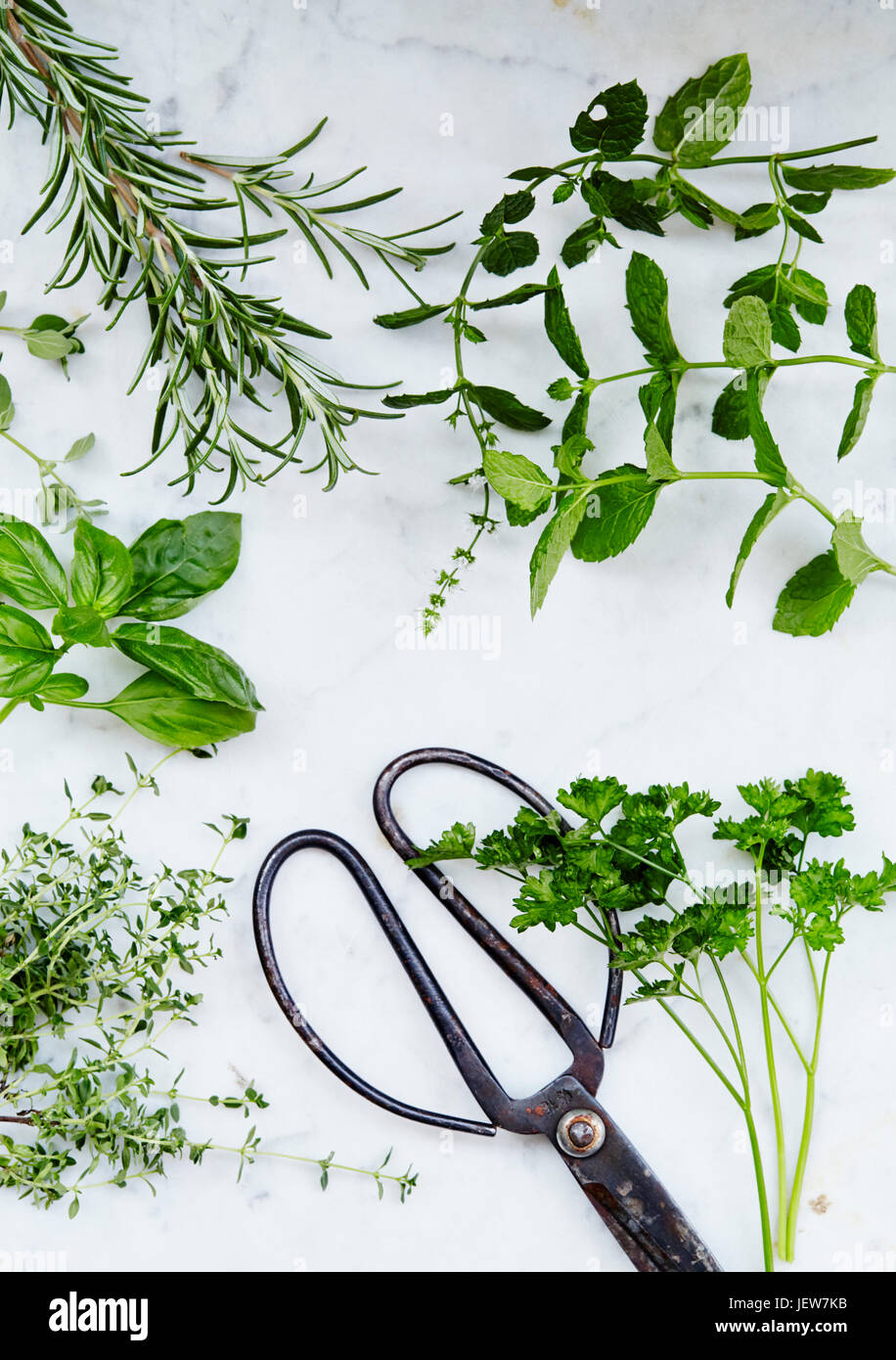 Scissors and herbs on marble background Stock Photo - Alamy