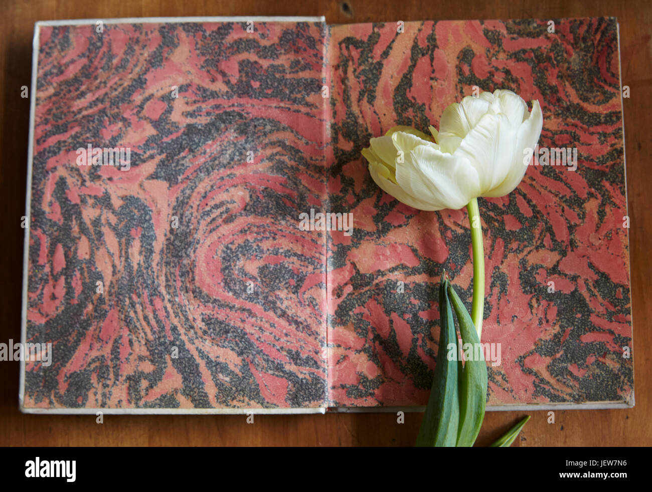 Yellow tulip on open notebook Stock Photo - Alamy