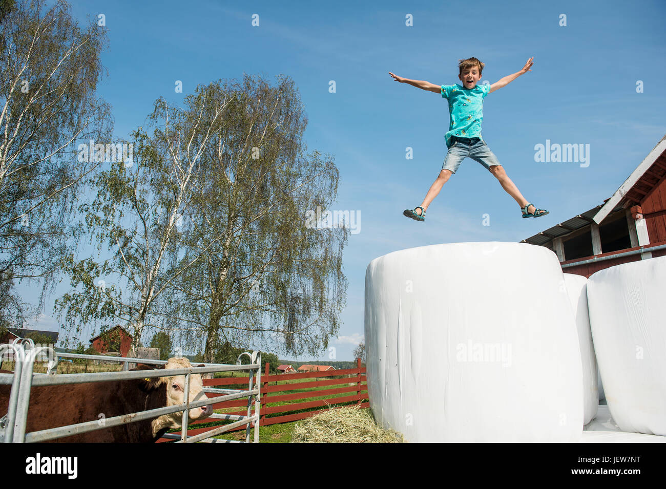 Boy jumping on bale of hay Stock Photo - Alamy