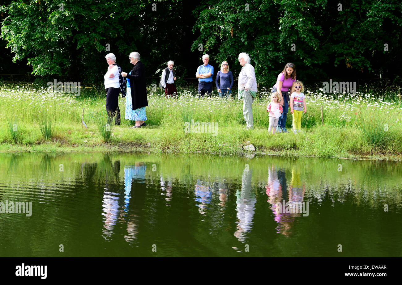People enjoying the local pond and foliage during a stroll through the ...