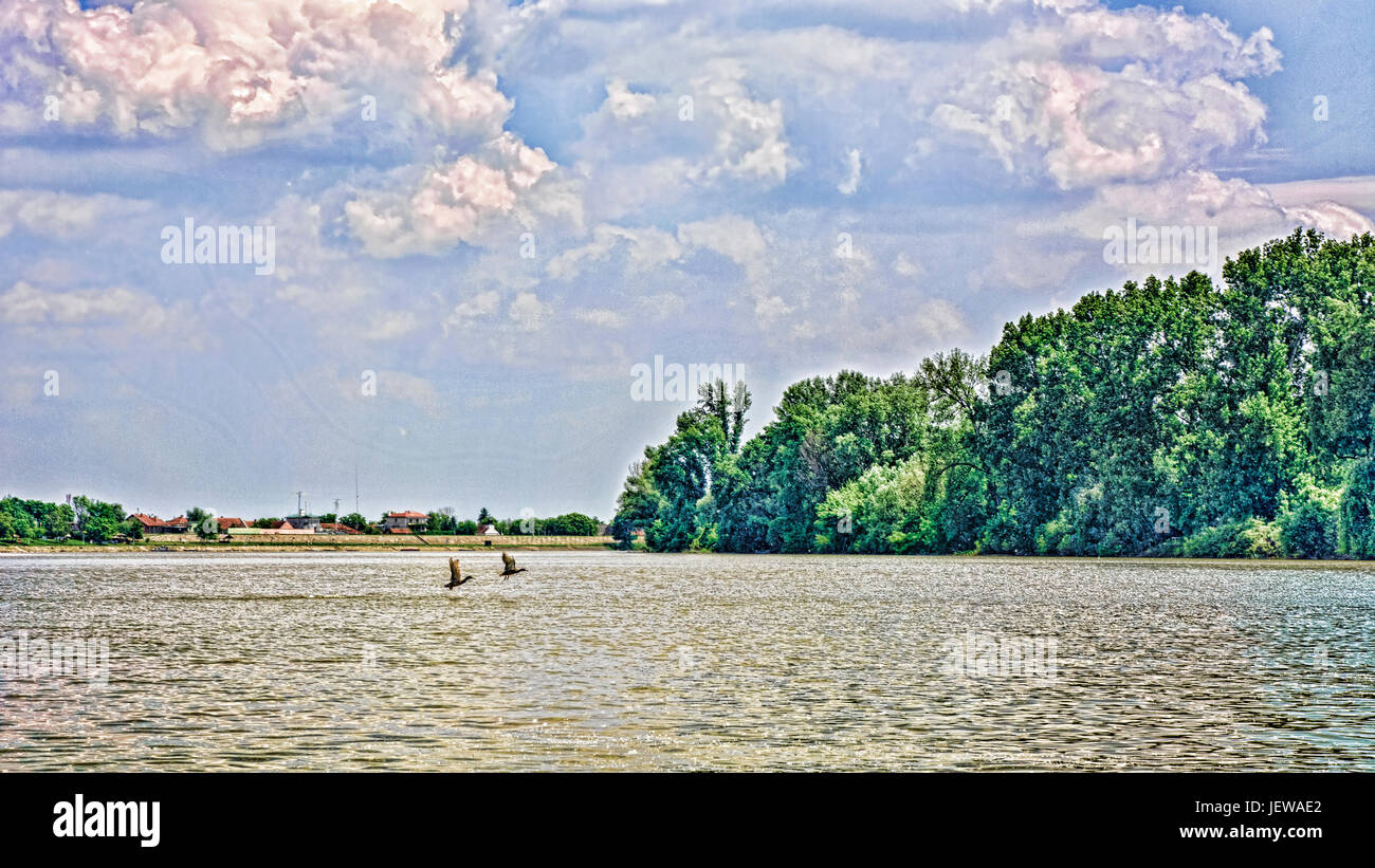 Frightened ducks hi-res stock photography and images - Alamy