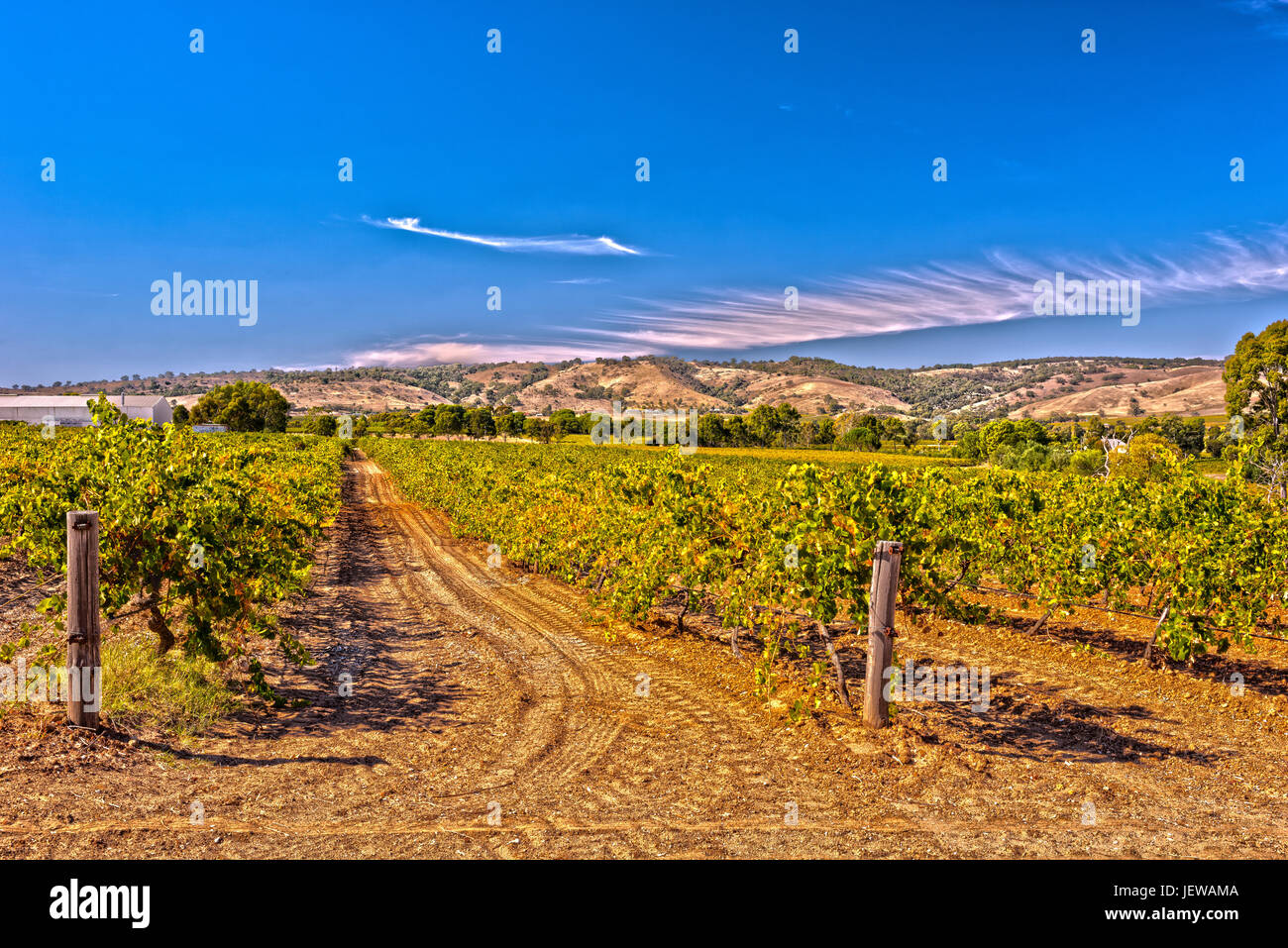Looking out across the beautiful gardens of Chateau Tanunda in Barossa ...