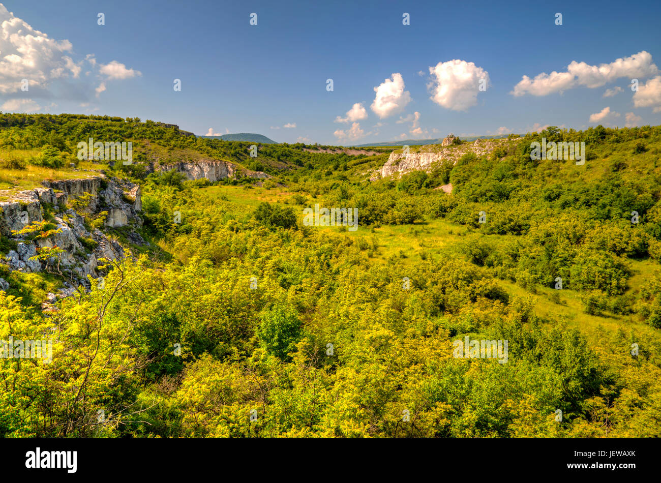 Beautiful summer landscape Stock Photo - Alamy