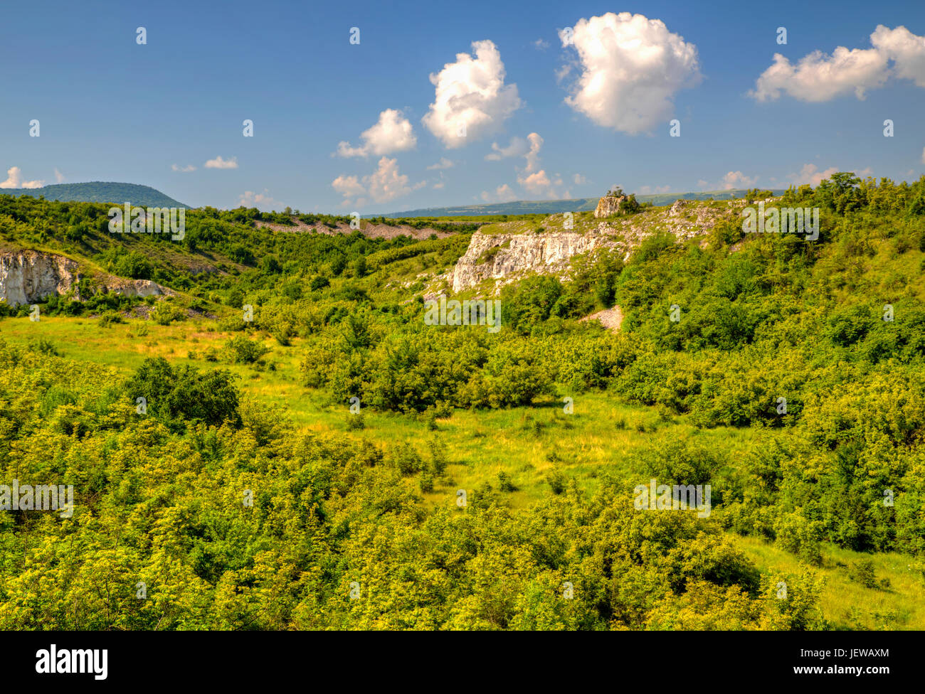 Beautiful summer landscape Stock Photo - Alamy