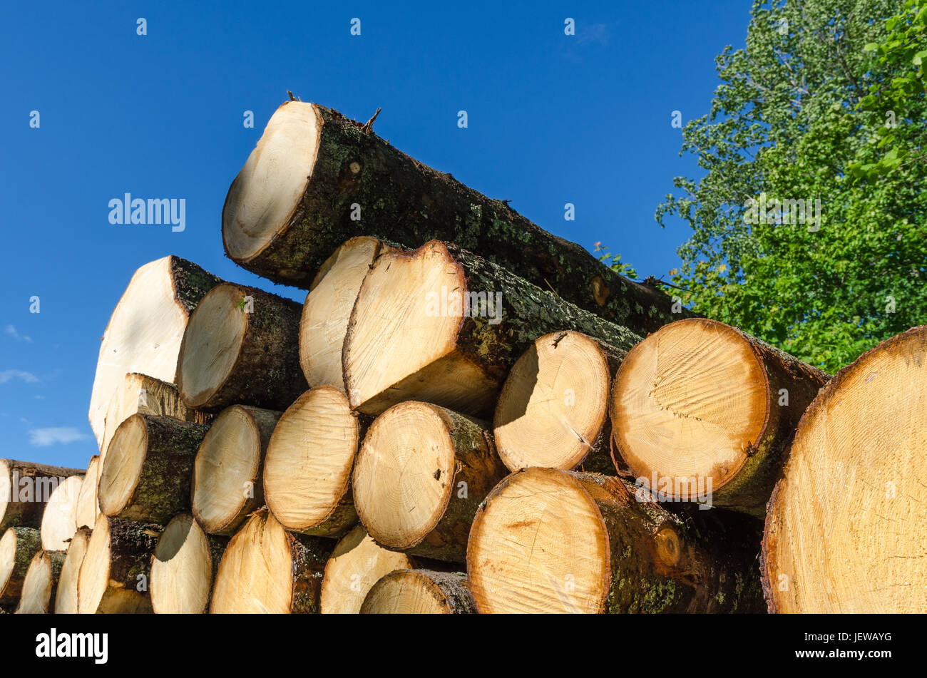 Detail of a wood stack by a blue sky Stock Photo - Alamy