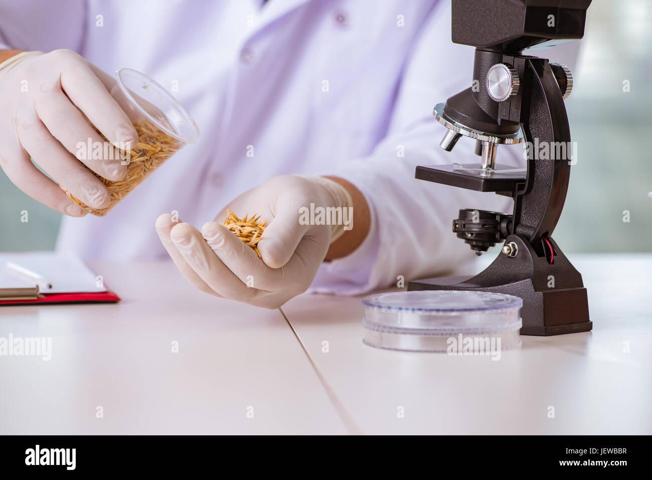 Nutrition expert testing food products in lab Stock Photo - Alamy