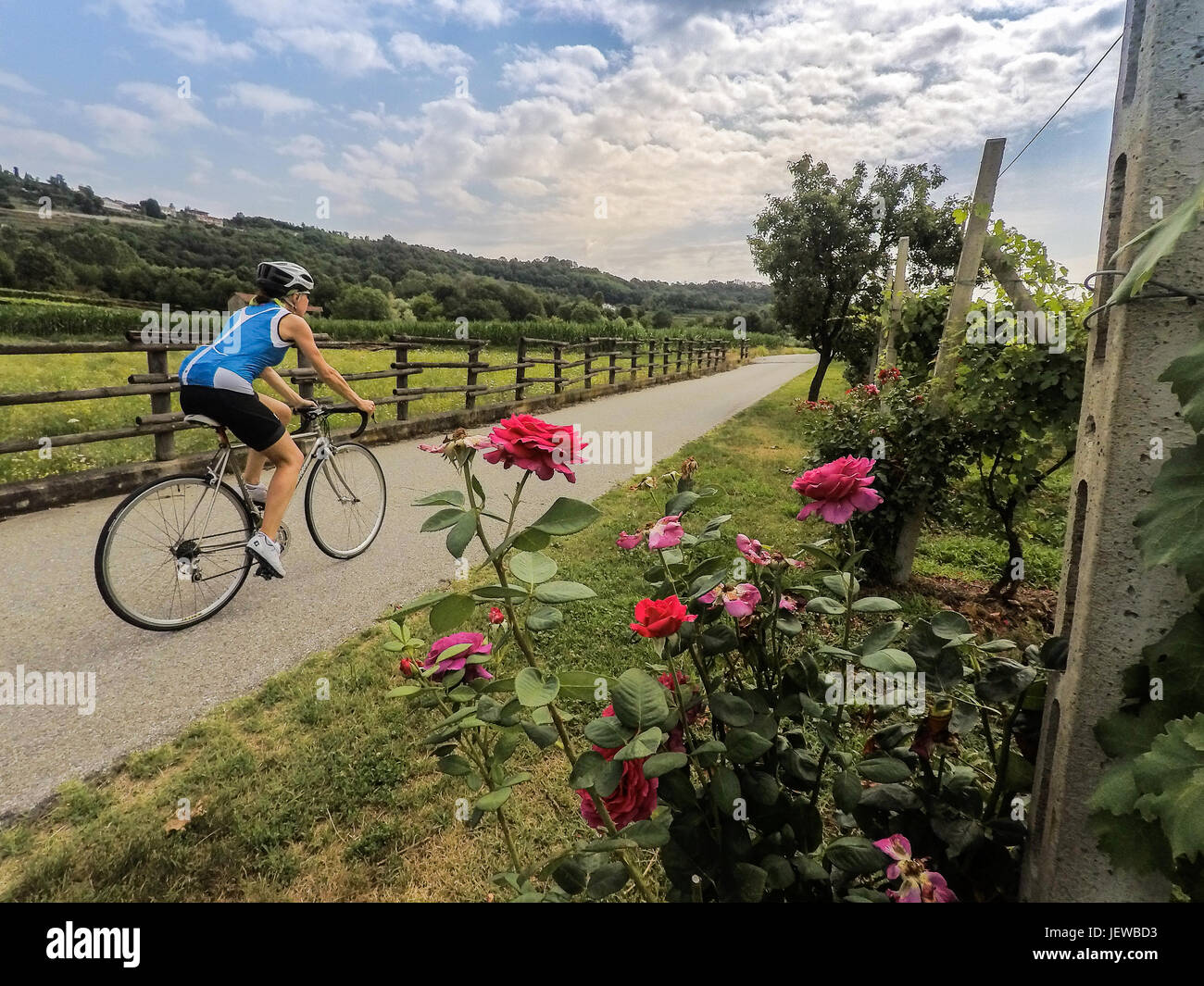 A woman cycling n the contryside of Italy on quiet country roads ...