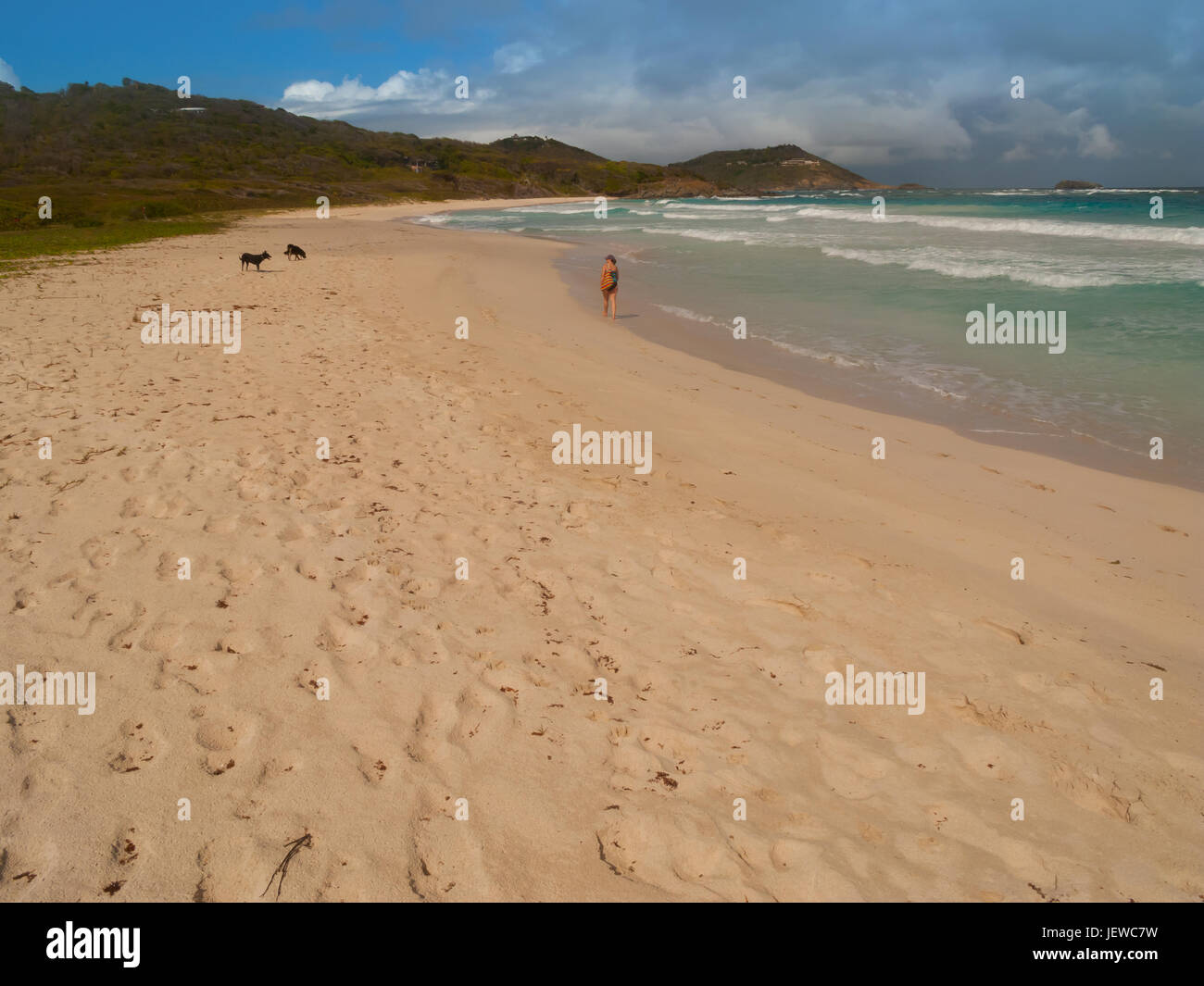 Princess margaret beach mustique hi-res stock photography and images ...