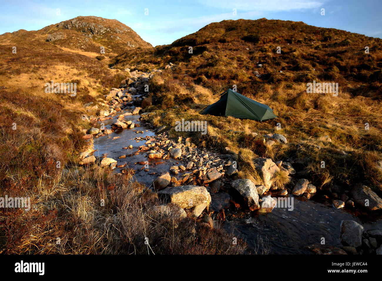 Sheep grazing on the green meadows and hills of Donegal Ireland with ...