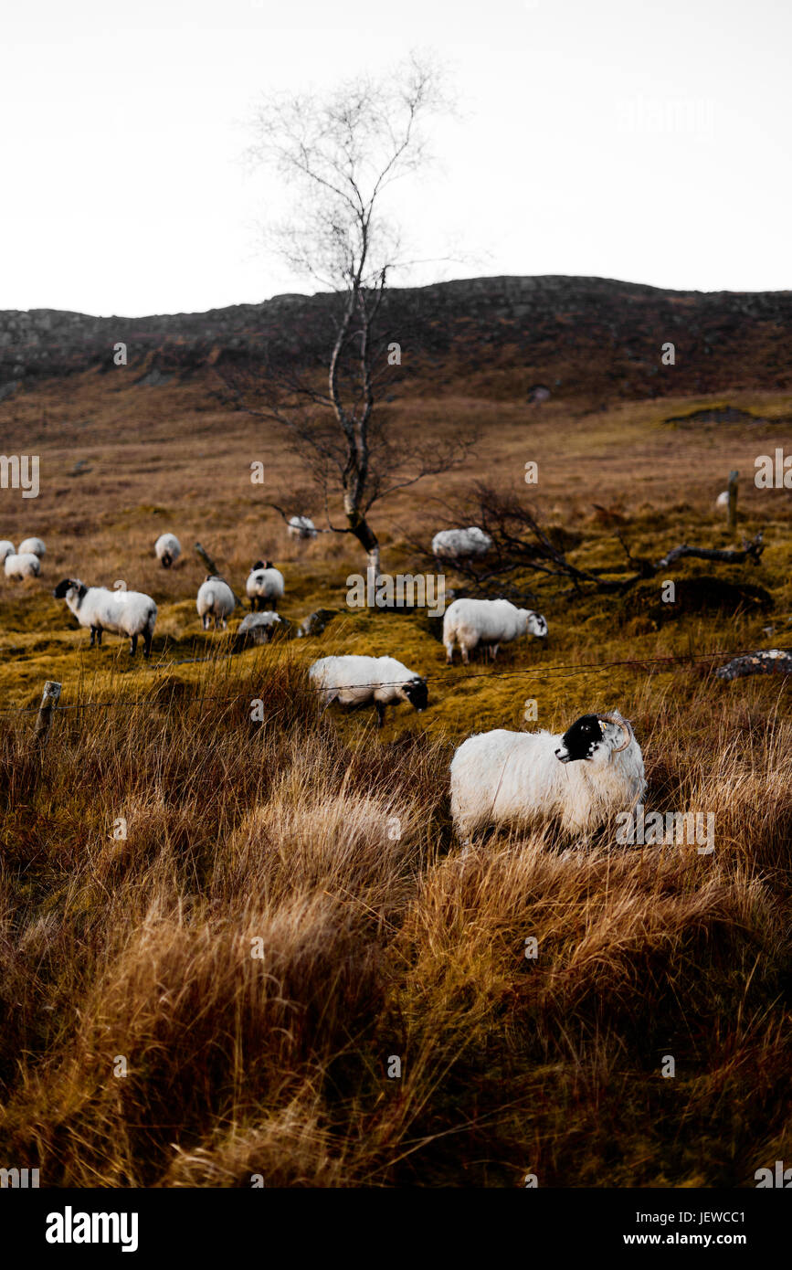 Bluestack way hi-res stock photography and images - Alamy