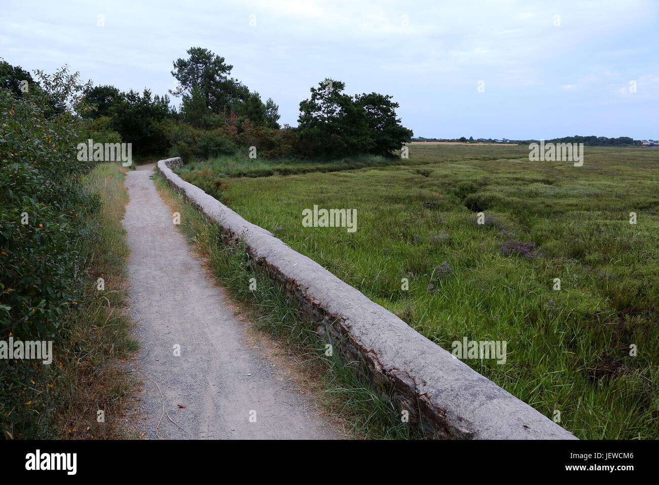 Countryside walk summer pathway hi-res stock photography and images - Alamy