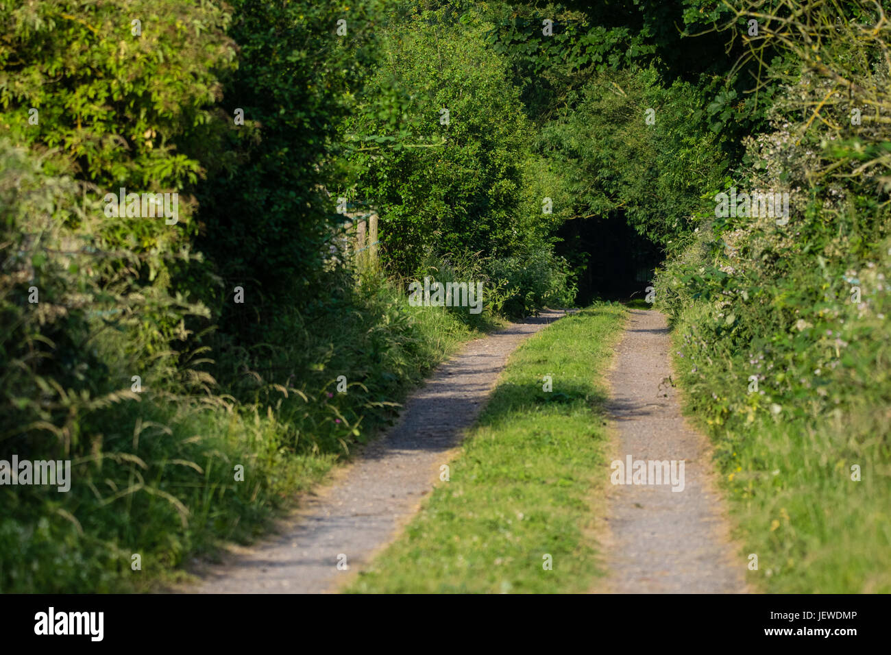 Countryside tracks leading into the distance Stock Photo - Alamy