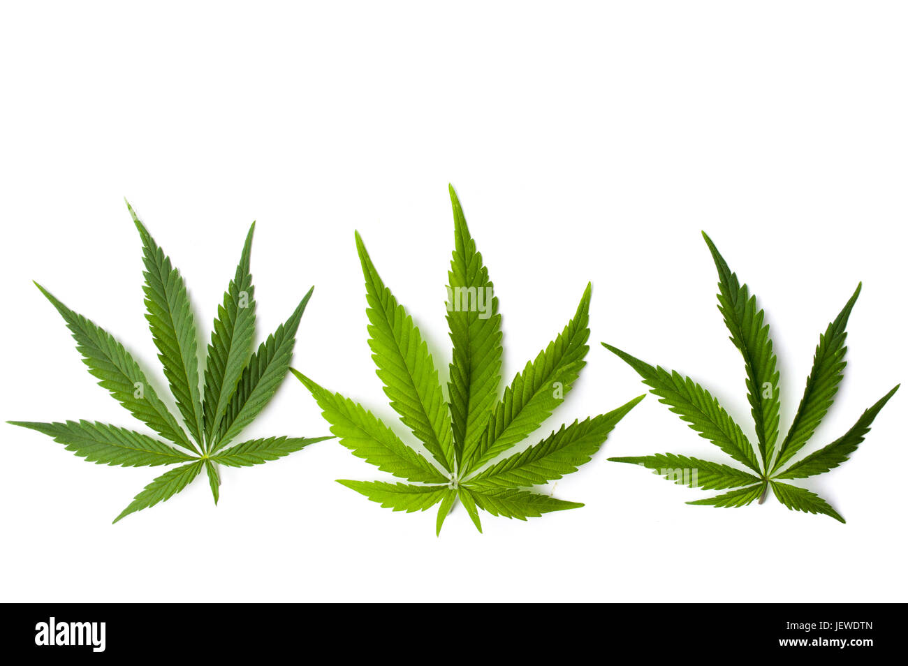 Cannabis photograph hi-res stock photography and images - Alamy