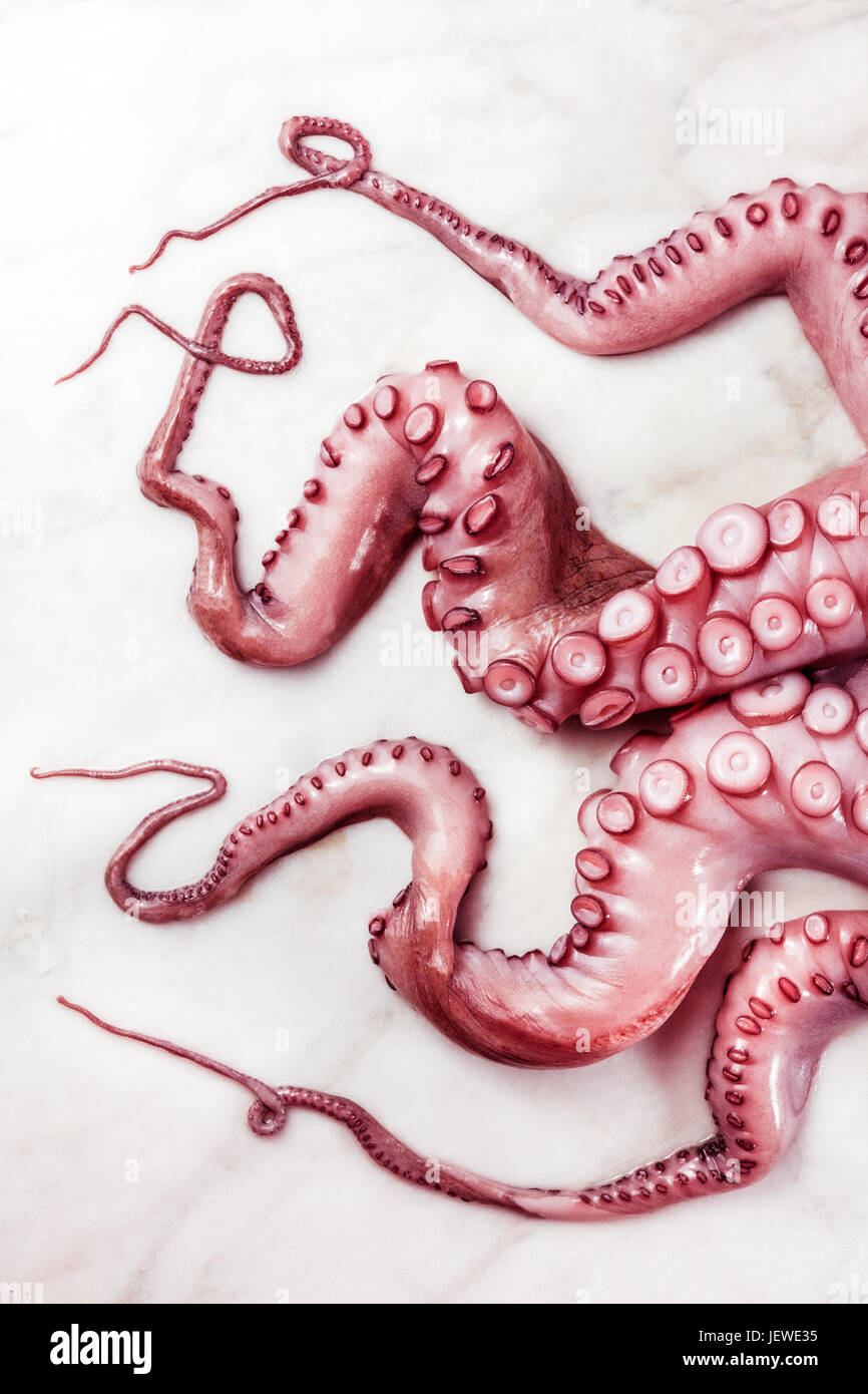 Overhead photo of octopus tentacles on white marble Stock Photo - Alamy