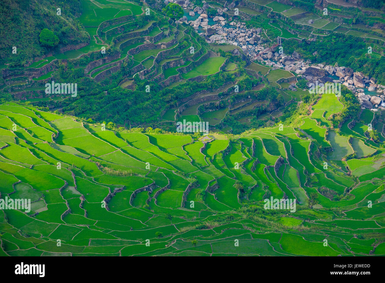 View from Kiltepan tower over the Rice terraces, Sagada, Luzon ...
