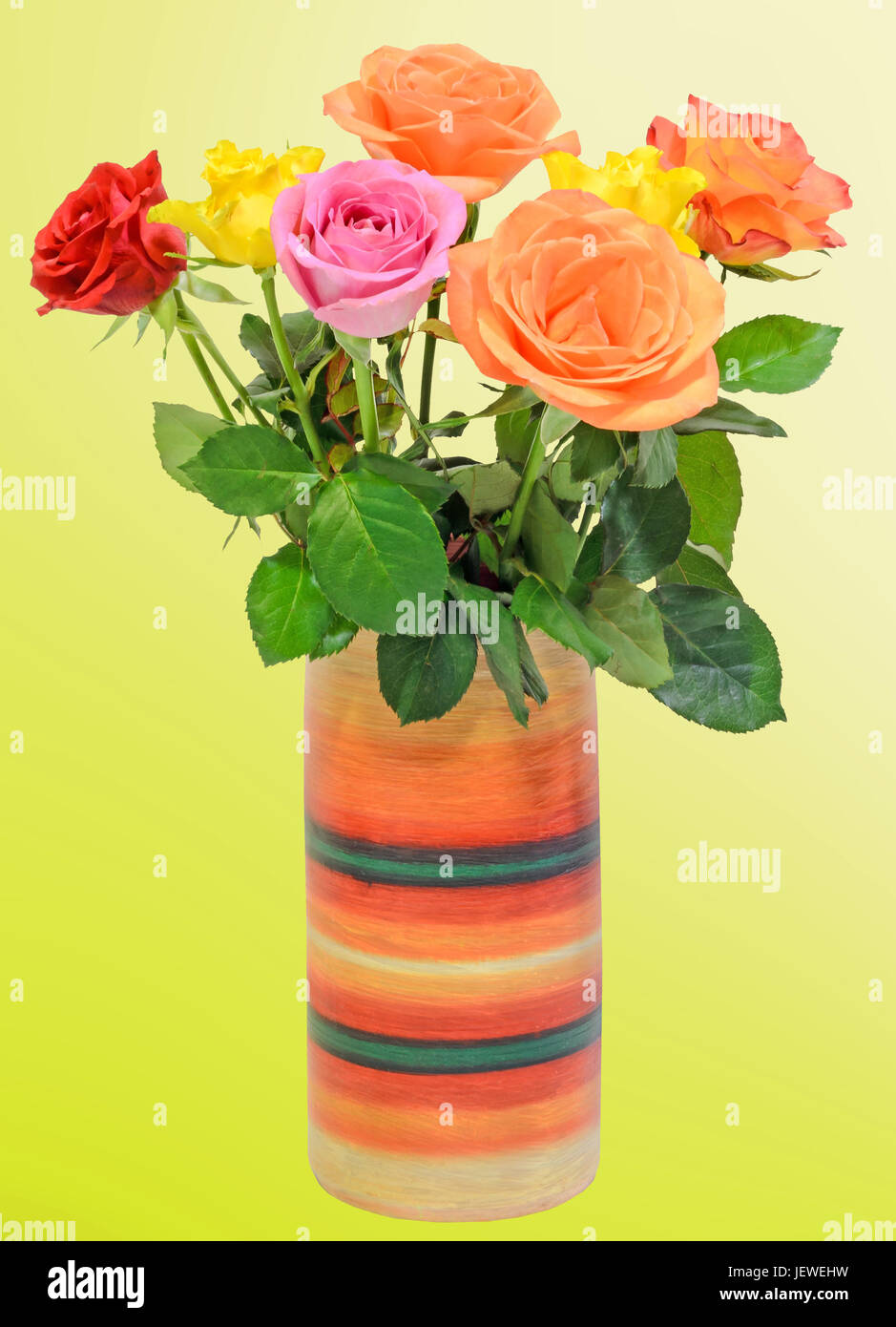 Vibrant colored (red, yellow, orange, white) roses flowers in a colored ...