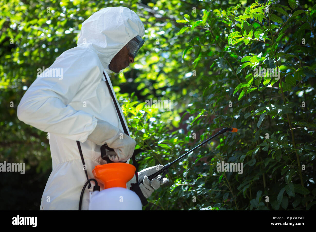 Man doing pest control Stock Photo - Alamy