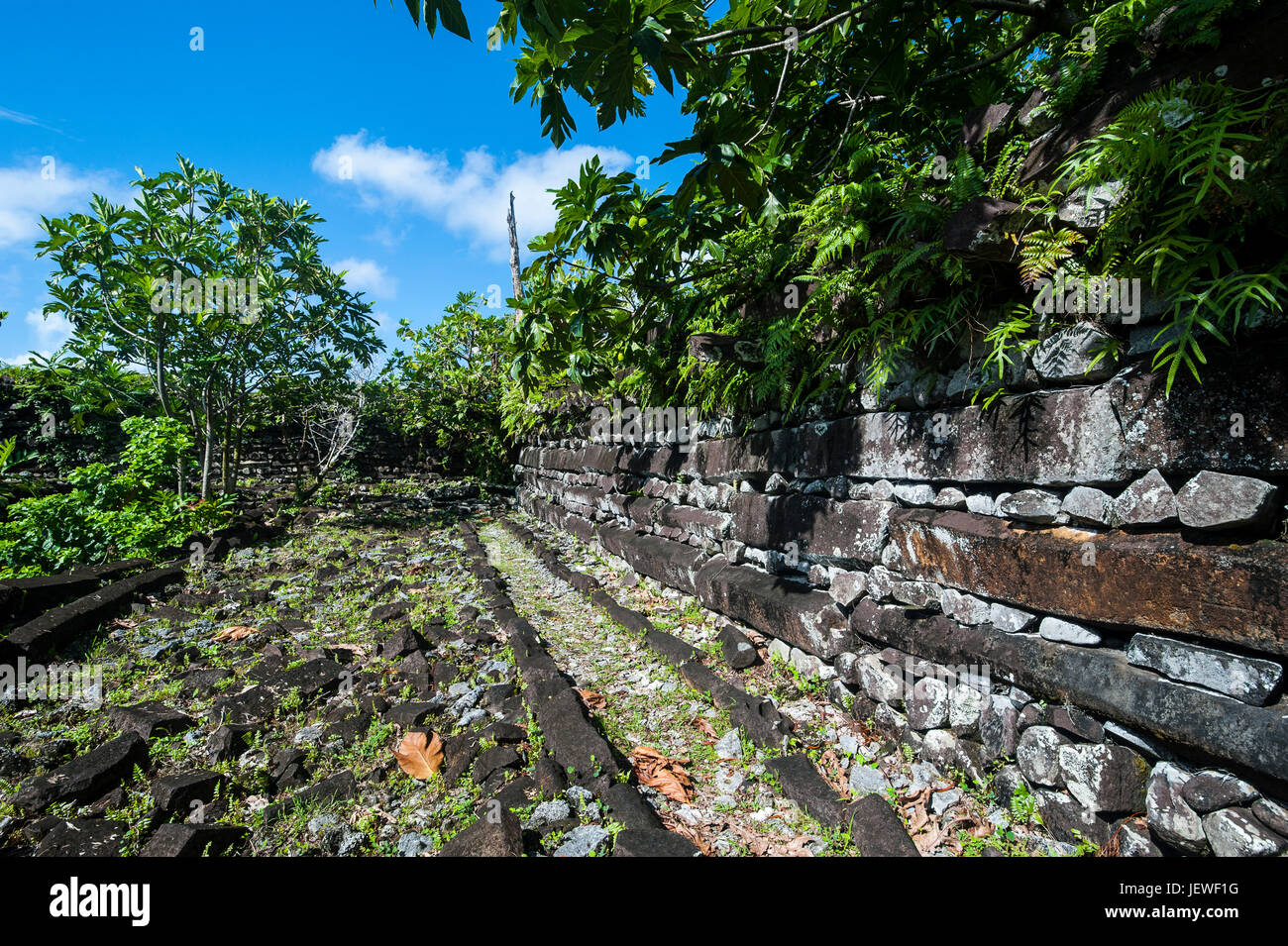 Ruined city Nan Madol, Pohnpei, Micronesia, Central Pacific Stock Photo ...