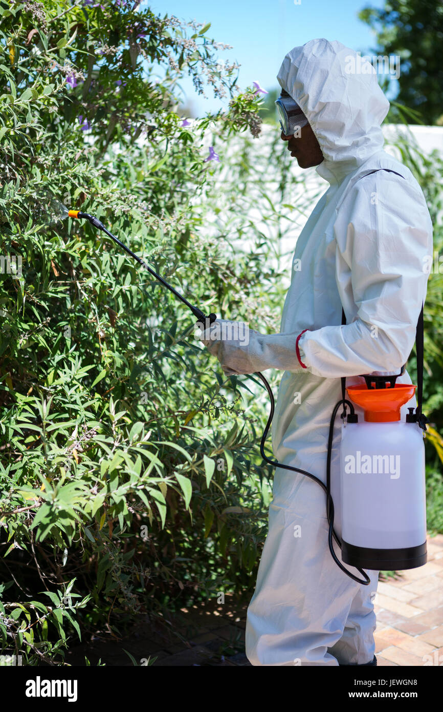 Man doing pest control Stock Photo - Alamy