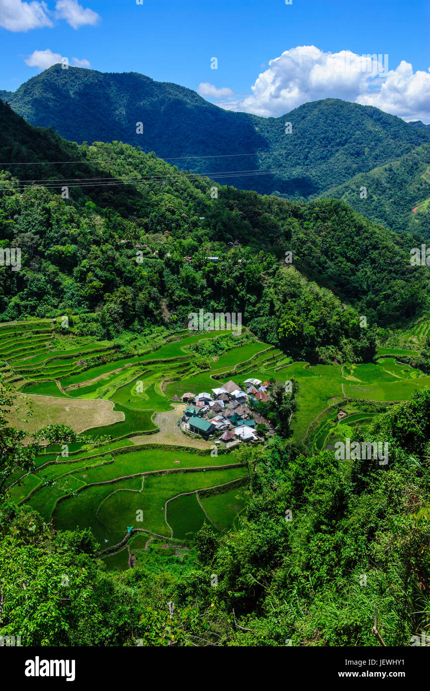 Bangaan in the rice terraces of Banaue, Northern Luzon, Philippines ...