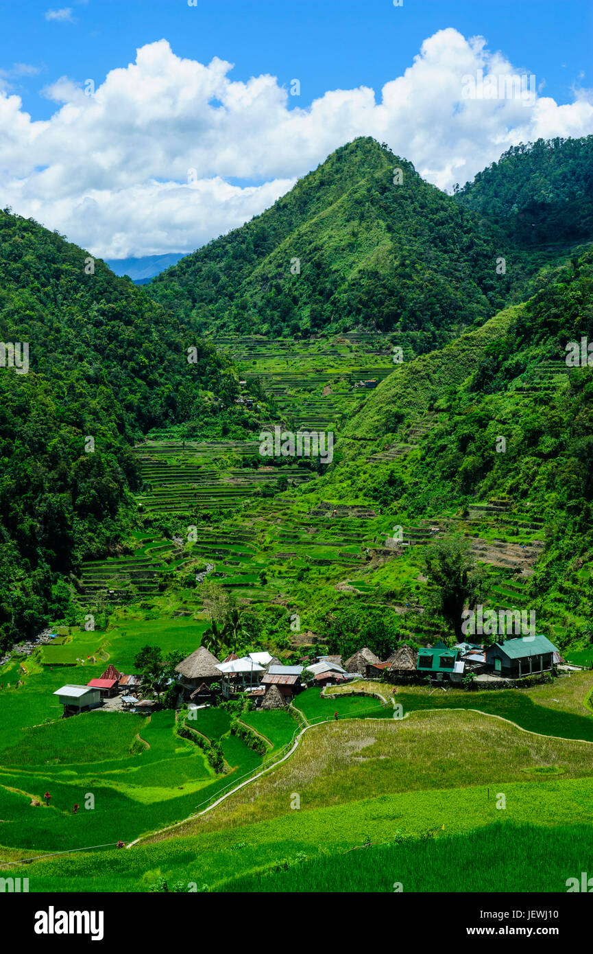 Bangaan in the rice terraces of Banaue, Northern Luzon, Philippines ...