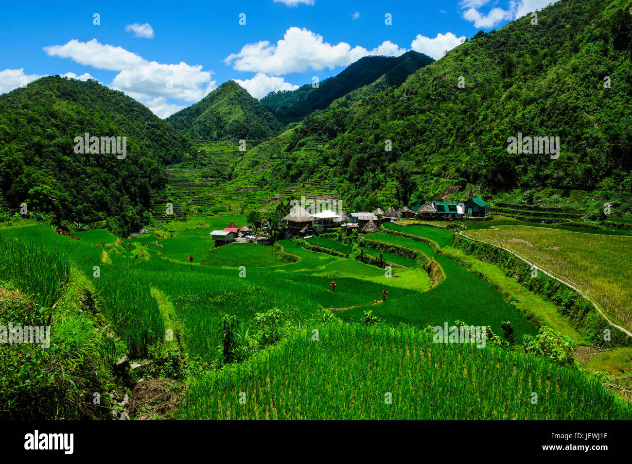 Bangaan in the rice terraces of Banaue, Northern Luzon, Philippines ...