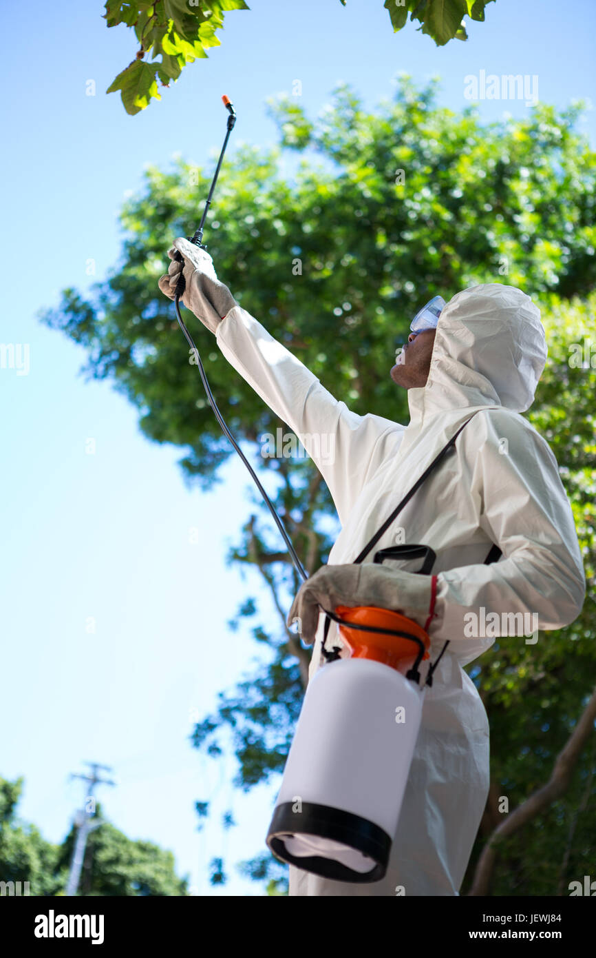Man doing pest control Stock Photo - Alamy