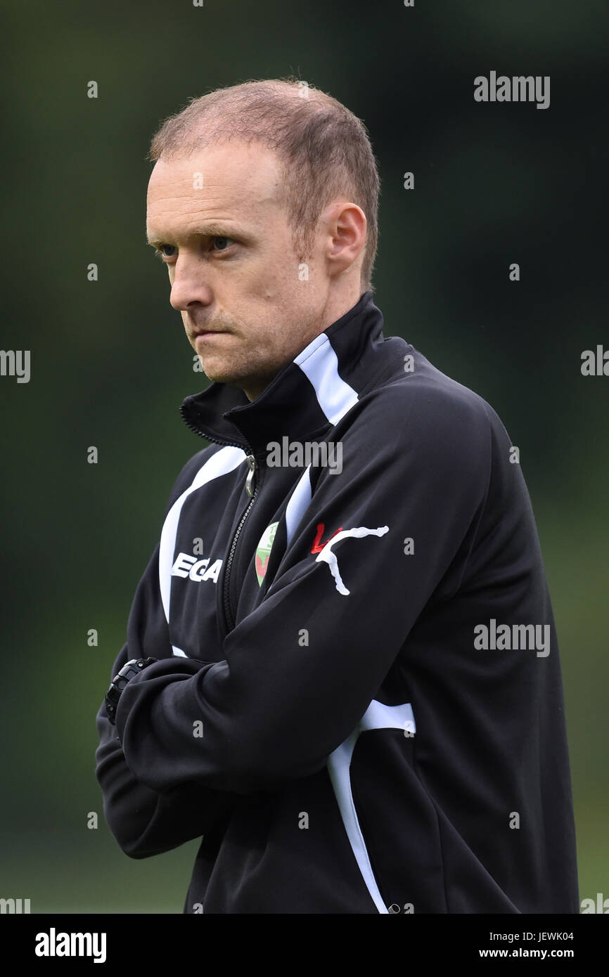The New Saints interim manager Scott Ruscoe before the UEFA Champions ...