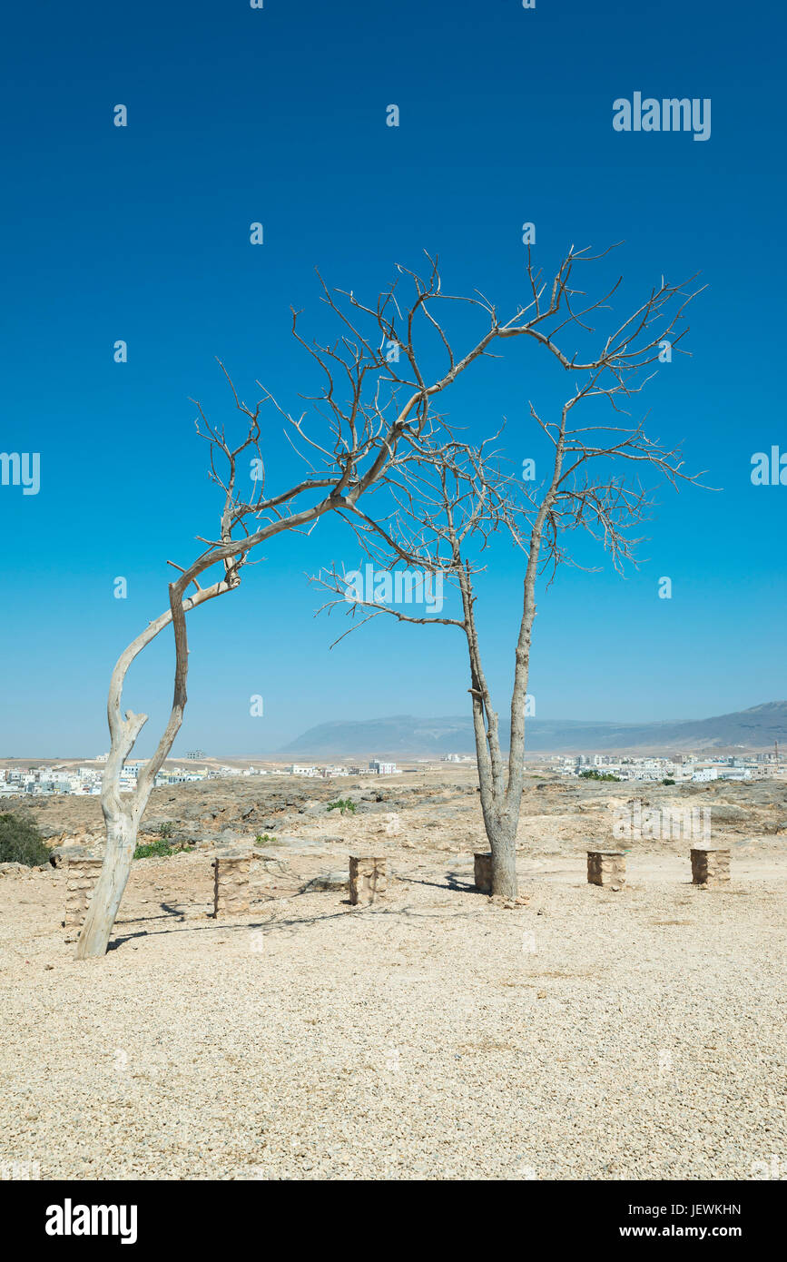 Taqah, Dhofar Governorate, Oman Stock Photo - Alamy