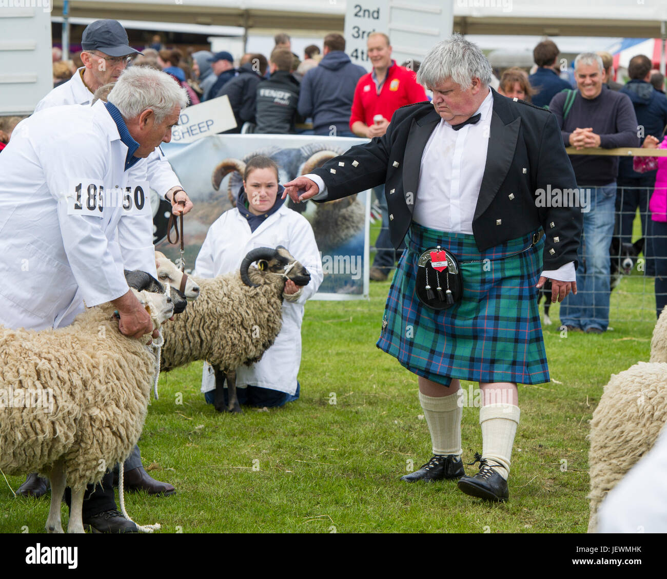 Sheep judging at the Royal Highland Show, Ingliston, Edinburgh Stock ...