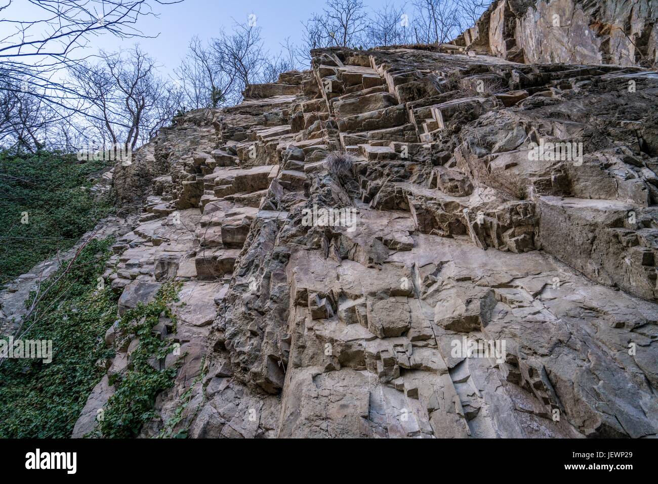 Cut field landscape aerial shot Stock Photo - Alamy
