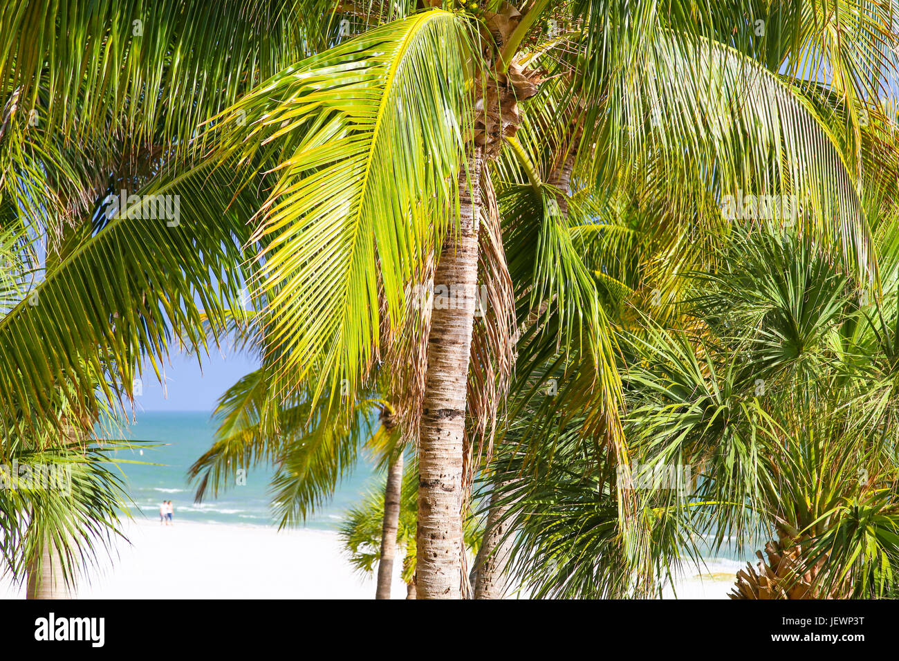 How to get the perfect picture hi-res stock photography and images - Alamy