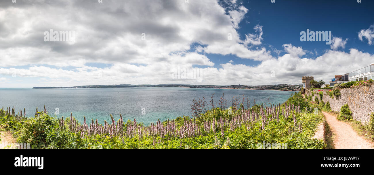 Panoramic Torbay from the South West Coast Path Stock Photo - Alamy