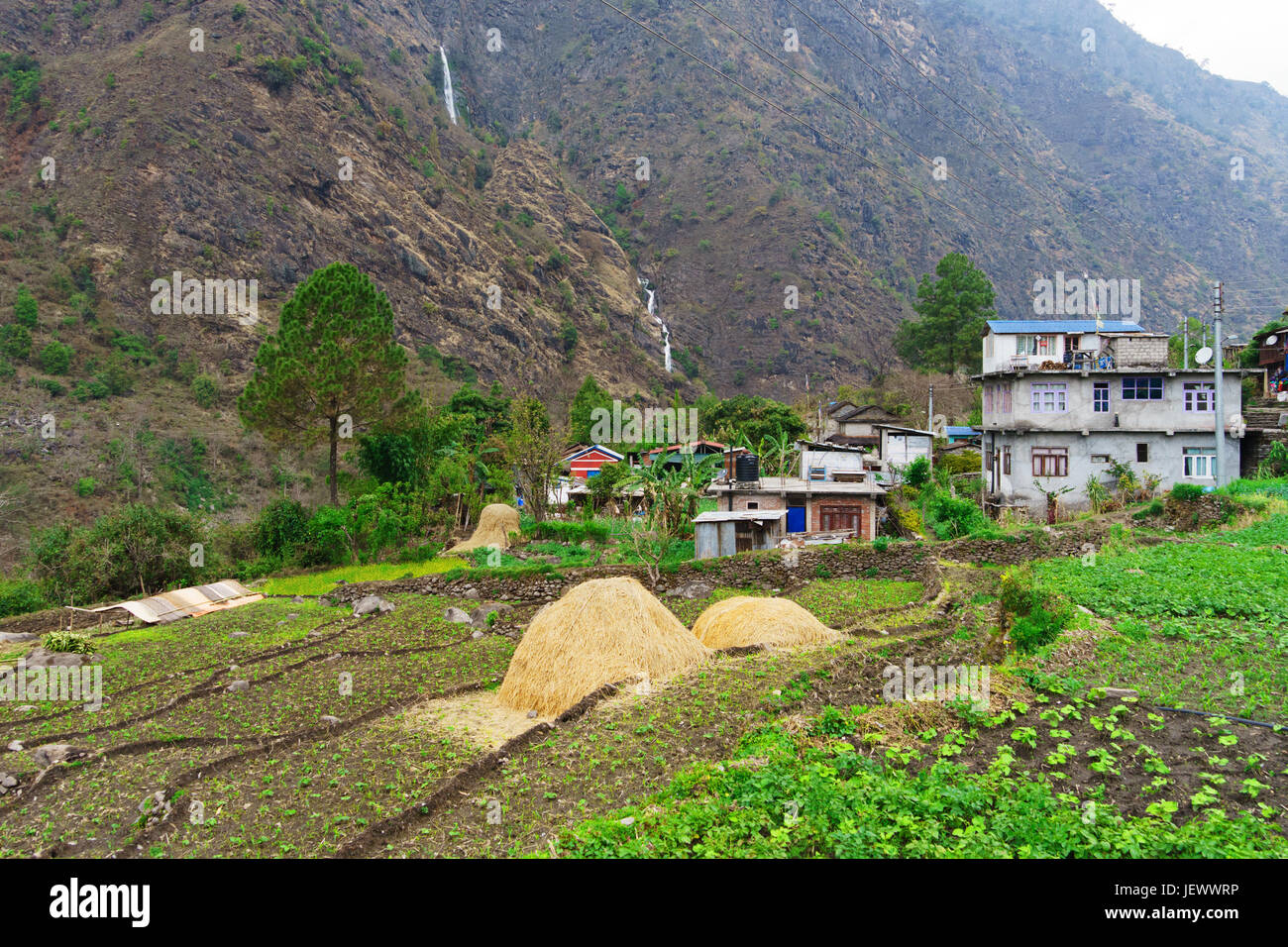 Agricultural fields in Ghermu, Lamjung district, Nepal Stock Photo ...