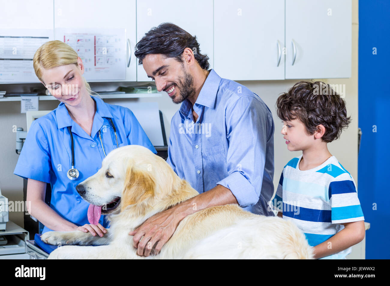 Woman vet and dogs owners looking the dog Stock Photo - Alamy