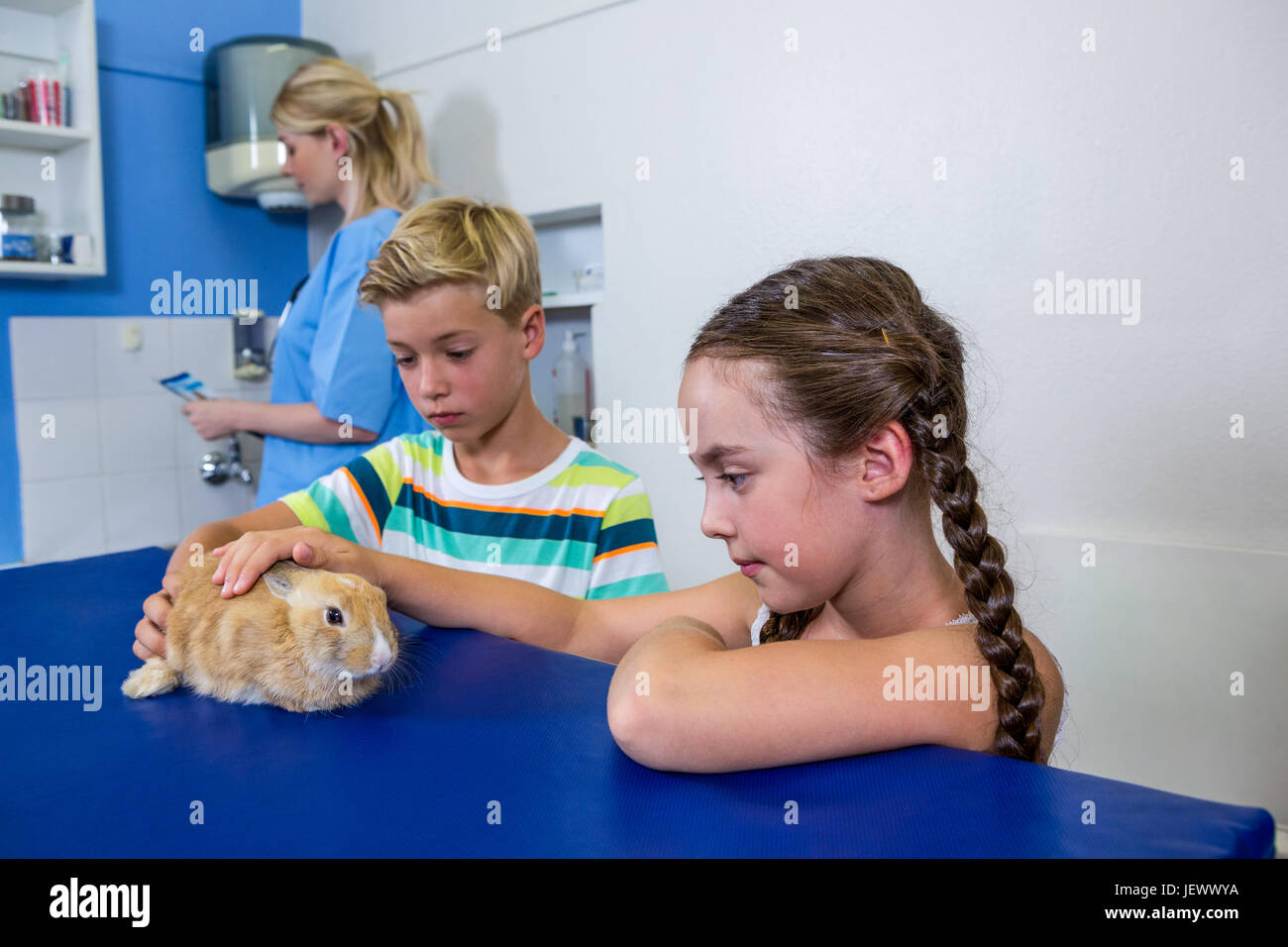 Children petting a rabbit Stock Photo - Alamy