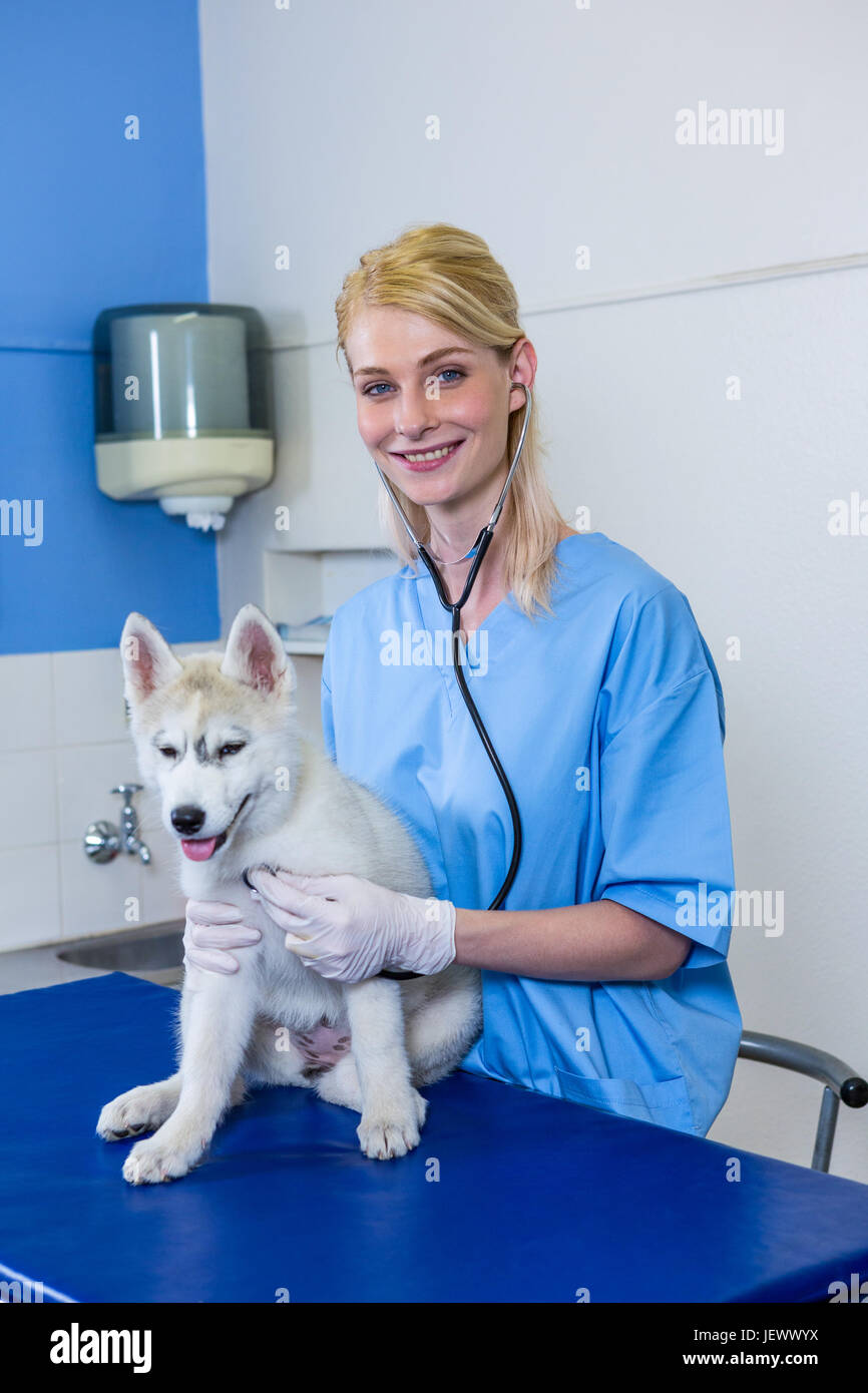 Woman vet posing smiling hi-res stock photography and images - Alamy