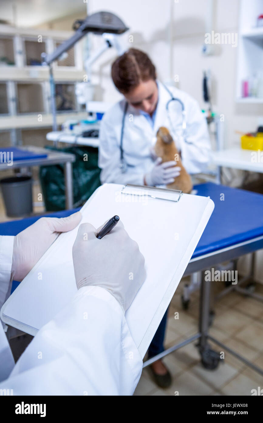 A vet taking note on a clipboard Stock Photo - Alamy