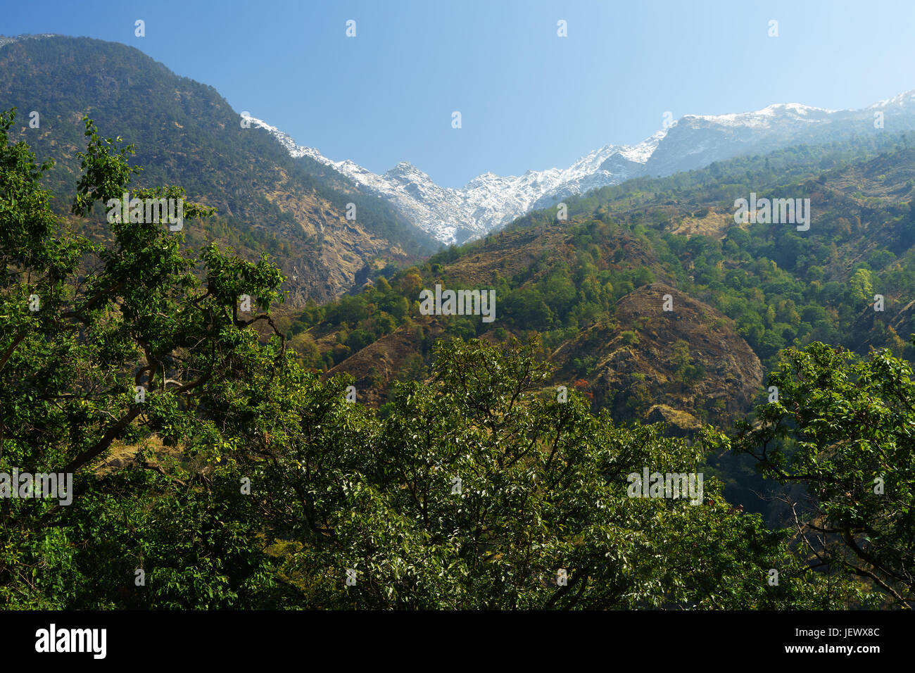 Lamjung district hi-res stock photography and images - Alamy