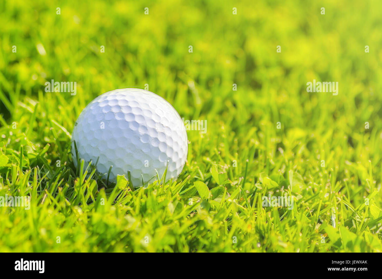 Golf Ball on course Stock Photo - Alamy