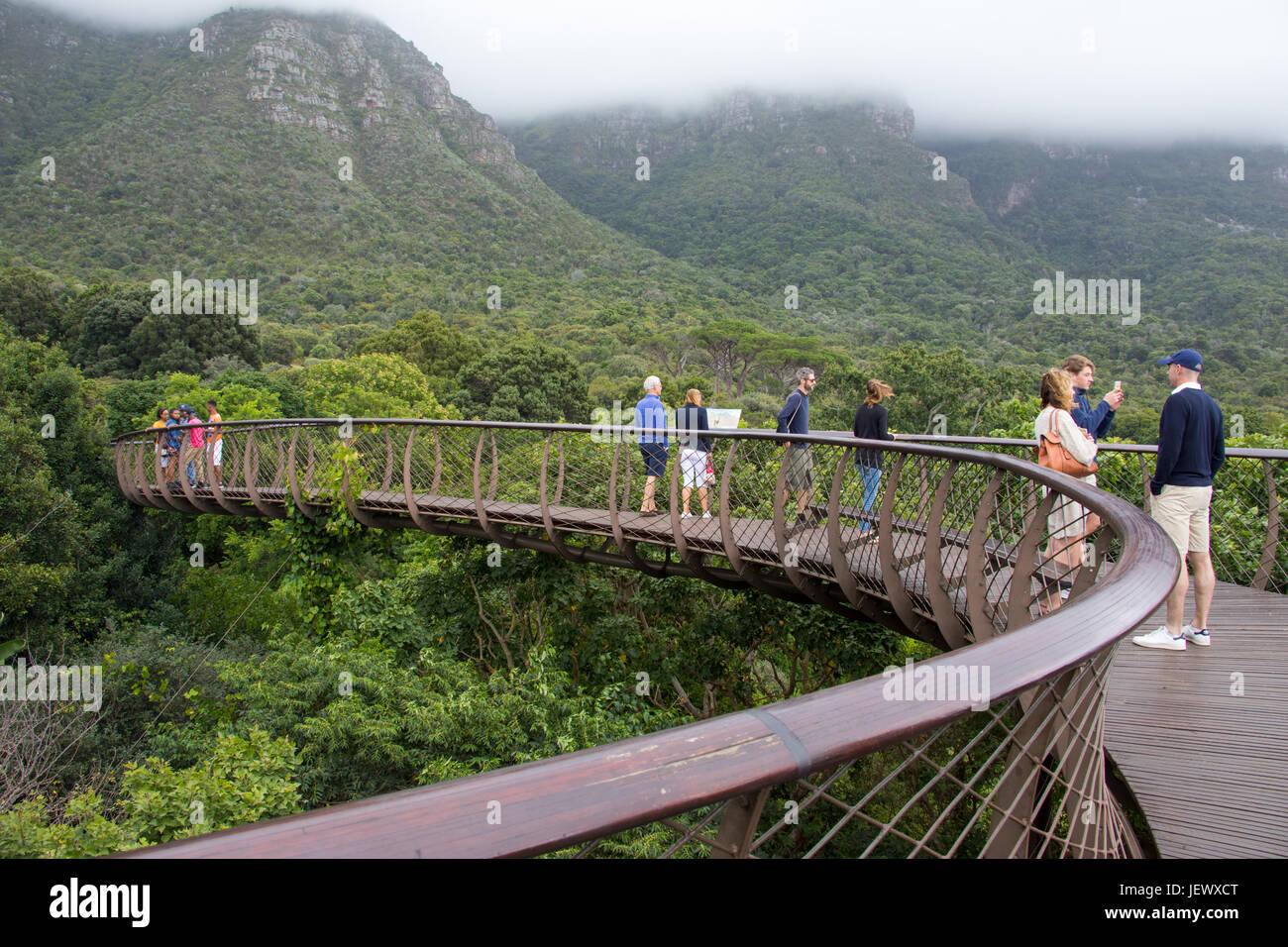 kirstenbosch Botanical Gardens, Cape Town, South Africa Stock Photo - Alamy