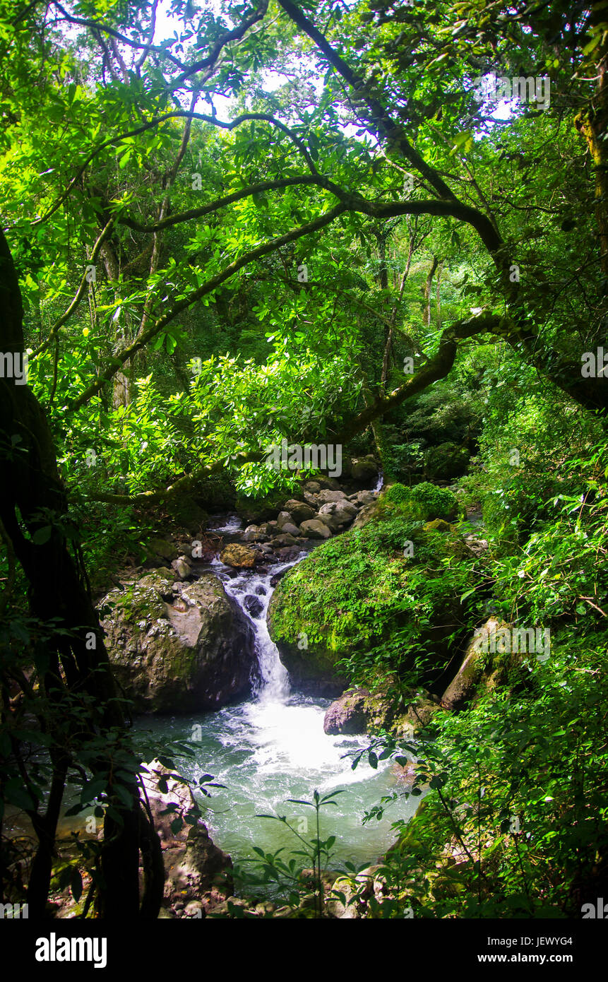 Amazon rainforest landscape waterfall hi-res stock photography and ...